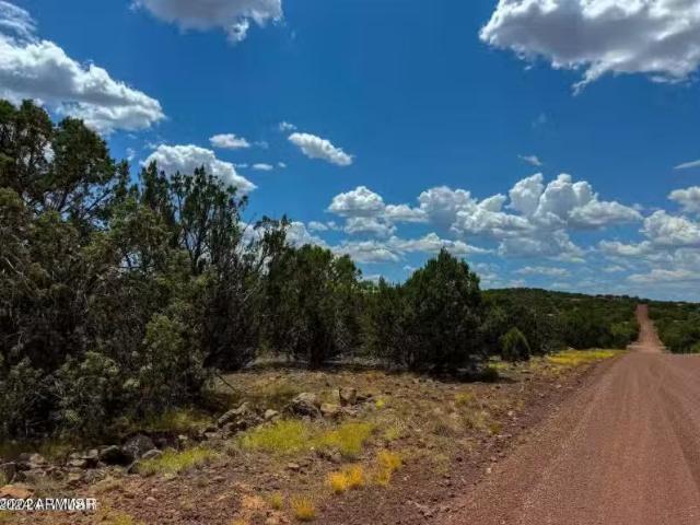 8489 Big Bear Dr #, Show Low, AZ 85901 MLS 6785250