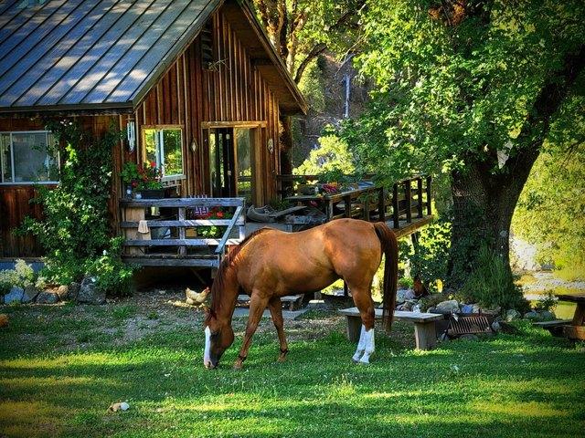 8480 St John Rd, Hyampom, CA 96046
