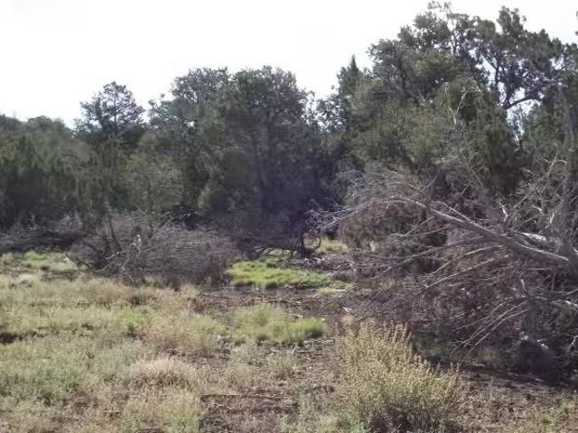 848 E Little Horse Rd #152, Williams, AZ 86046 MLS 197969