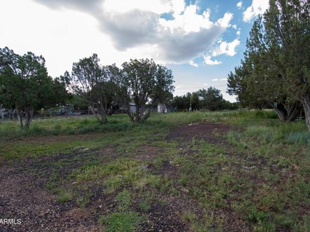 8497 Canyon Dr Unit 28, Show Low, AZ 85901