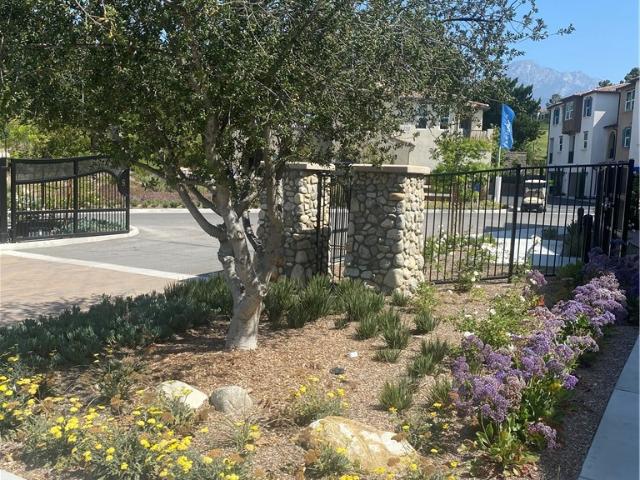 8491 Gabrielino Court 69