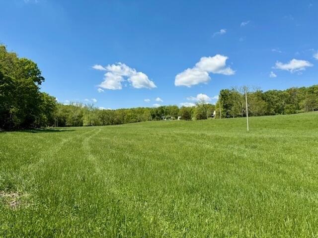 8493 Plum Valley Rd, Bucyrus, MO 65444