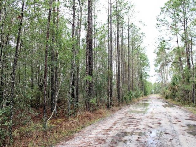 849 Ashby Way, Osteen, FL 32764