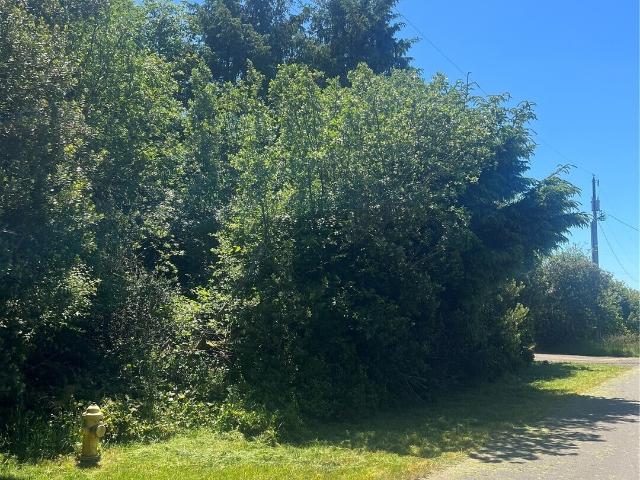 849 Hake Ct SW, Ocean Shores, WA 98569 | MLS #2392