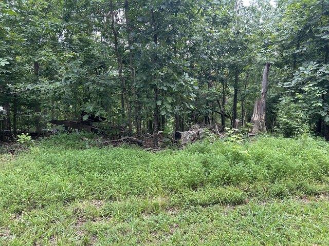 84 McClure Dr, Murray, KY 42071