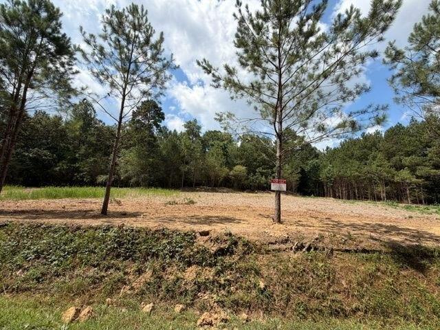 84 Popham Tract 1 Rd # 2, Taylorsville, GA 30178