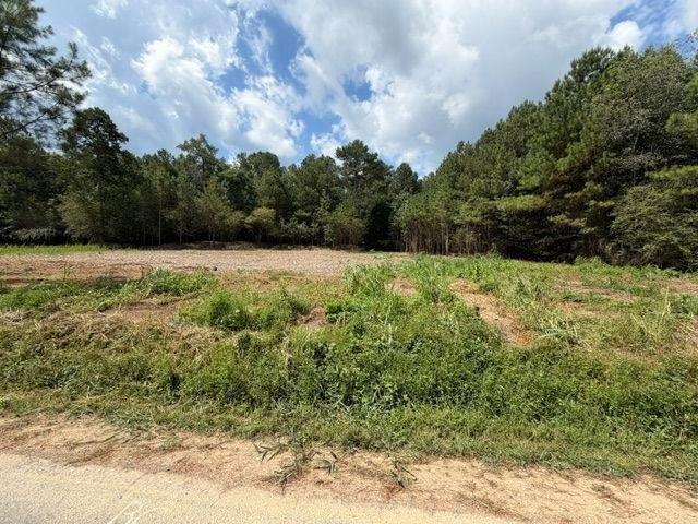 84 Popham Tract 2 Rd # 3, Taylorsville, GA 30178