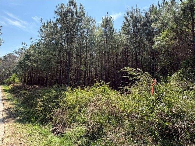 84 Popham Tract Rd # 2, Taylorsville, GA 30178