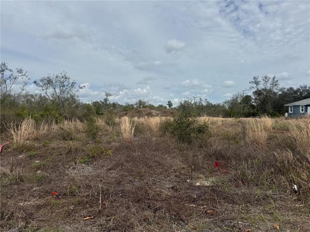 8500 SW Aviary Rd, Arcadia, FL 34269 | MLS #C7523