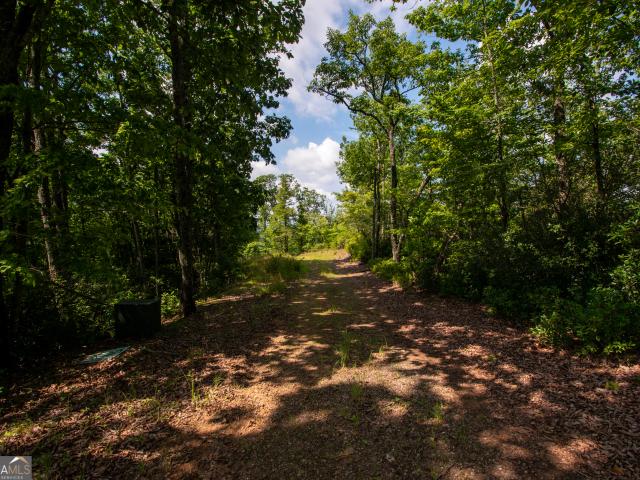 850 Bluff Road