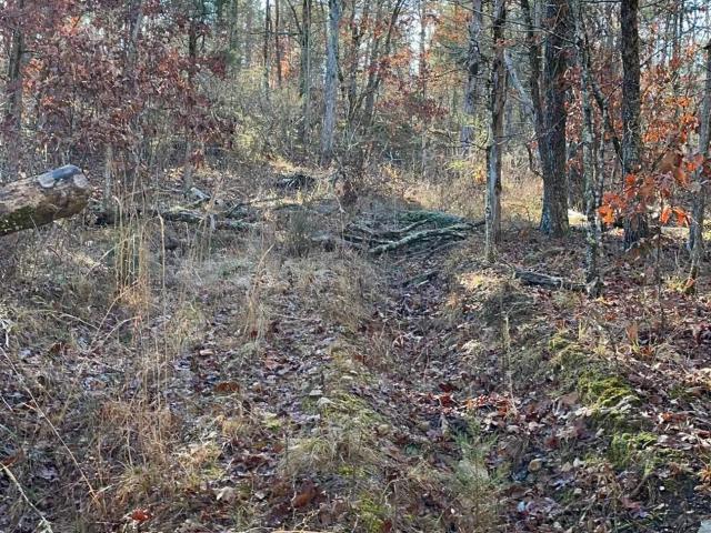 850 Jones Cemetery Road