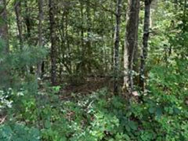 850 Lick Hollow Drive