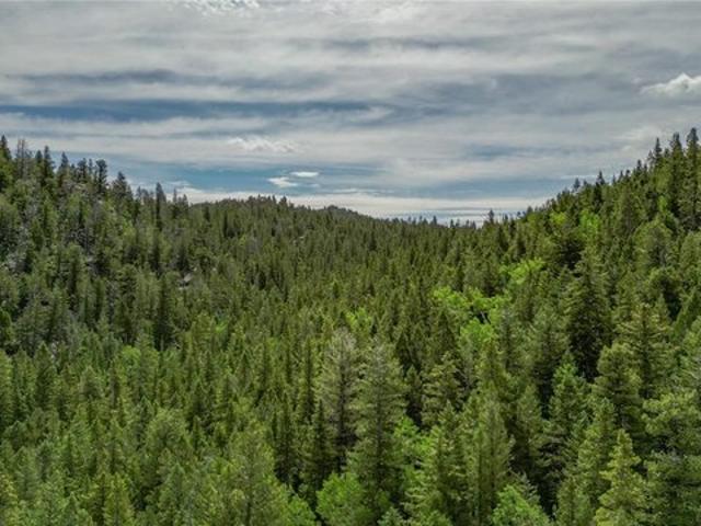 850 Lupine Pl, Black Hawk, CO 80422