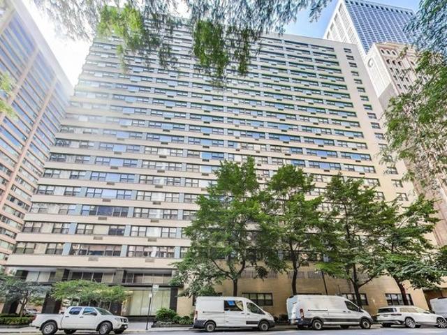 850 N Dewitt Pl Apt 20A, Chicago, IL 60611