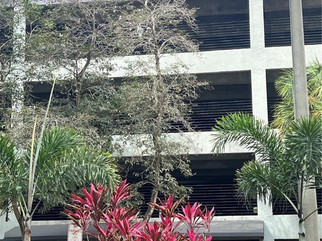 850 N Miami Ave, Unit W1806, Miami, FL 33136 | MLS #A11976