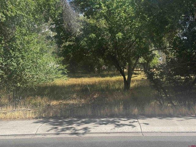 850 W Main St, Cedaredge, CO 81413