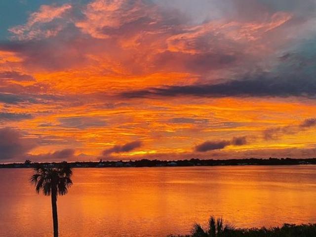 850 Tidewater Shores Loop Unit 402, Bradenton, FL 34208