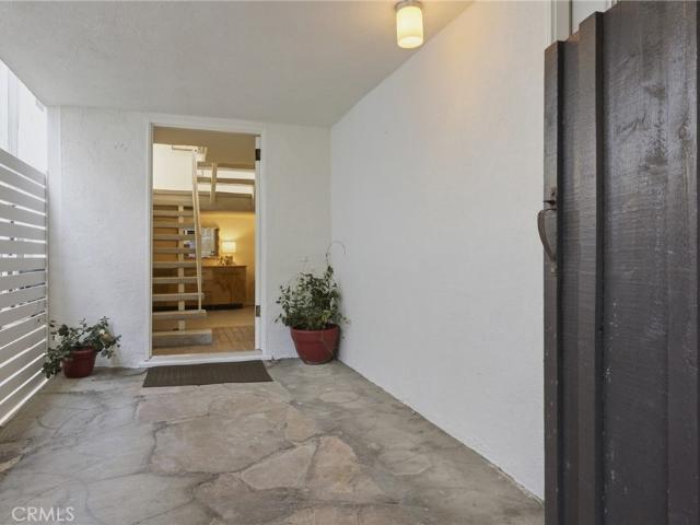 8518 Walnut