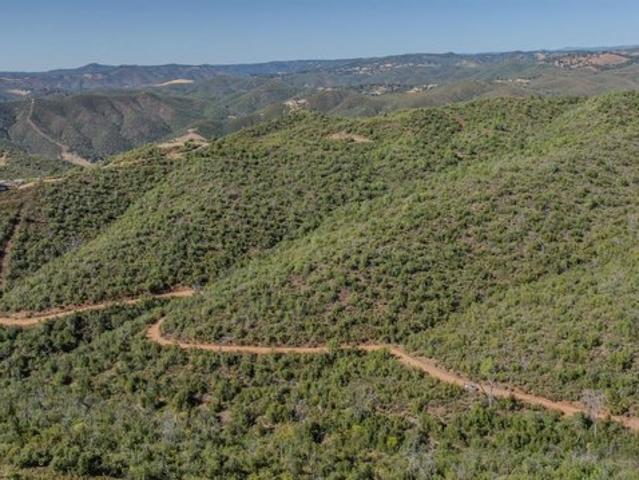 8519 Maranatha Ln, Mountain Ranch, CA 95246