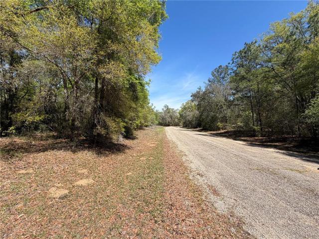 8512 N Escobar Rd, Dunnellon, FL 34434 | MLS #A4687