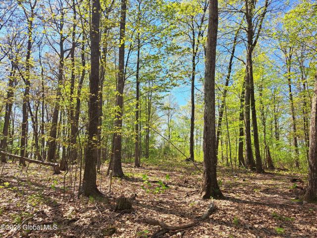 851 Bald Mountain Rd, Greenwich, NY 12834 | MLS #202518