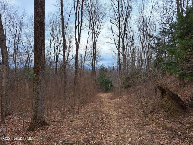 851 Bald Mountain Road