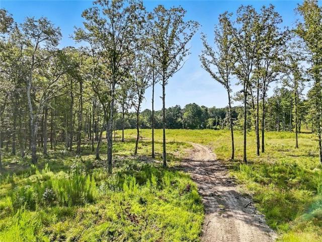 851 Barnsley Garden Rd, Adairsville, GA 30103 | MLS #7810