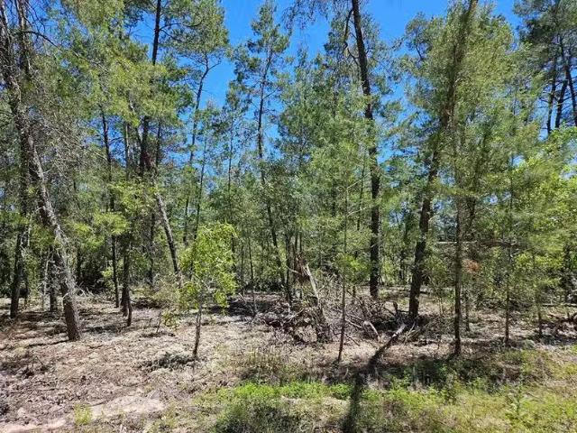 851 SE 145th Ct, Williston, FL 32696 MLS OM676753