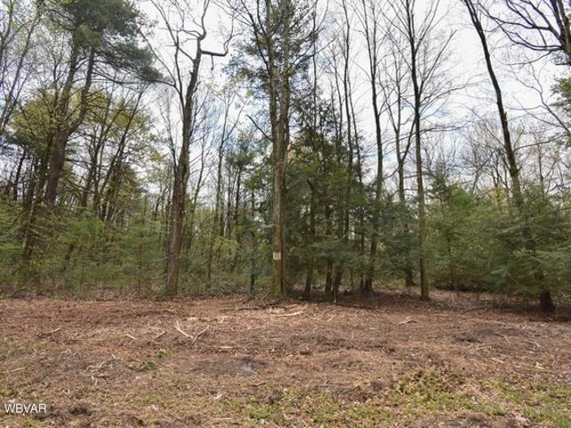 851 Wagmyr Ln, Lock Haven, PA 17745