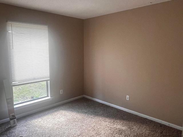 8524 Cedar Bark Cr
