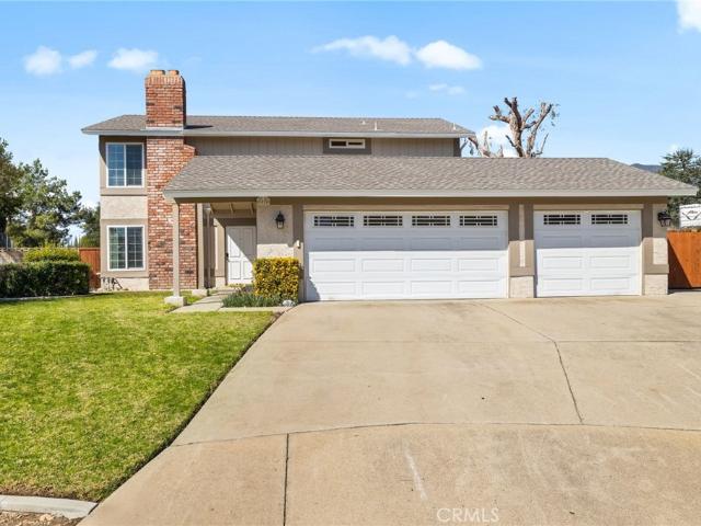 8520 Buggy Whip