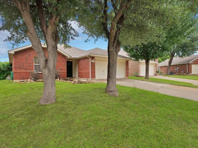 8537 Cactus Flower Drive