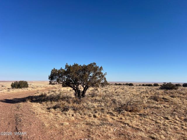 8539 Terry Trail