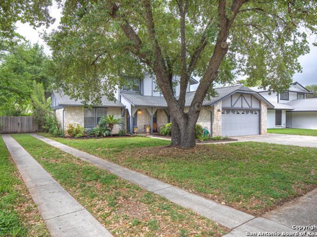 8530 Tanbark
