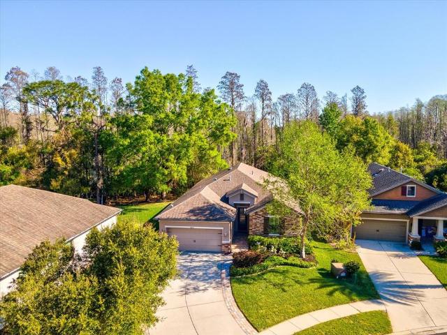 8531 May Port Ct, Land O Lakes, FL 34638 | MLS #TB8489