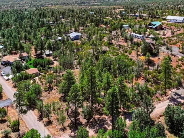 853 Wilderness Trail