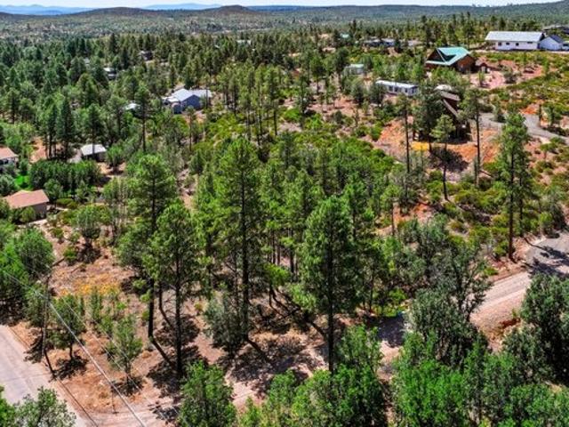 853 Wilderness Trl, Show Low, AZ 85901