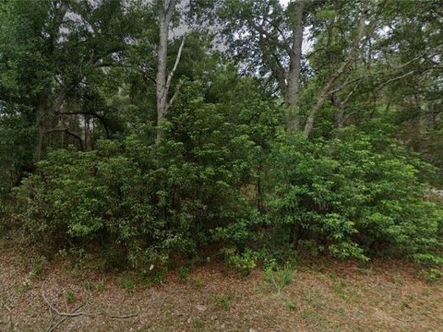 8547 N Fauci Pt, Crystal River, FL 34428