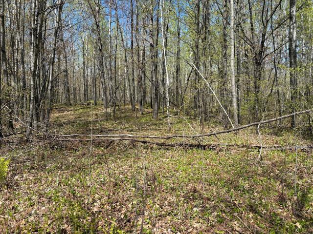 854x W Chub Lake Rd