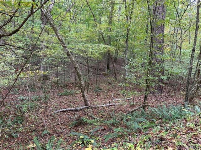 854 Albus Ct, Ranger, GA 30734 | MLS #7364 | Compass