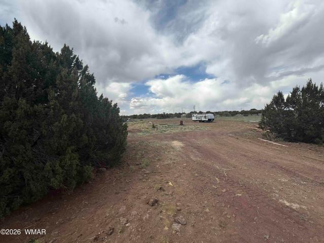 8558 Elkhorn Drive