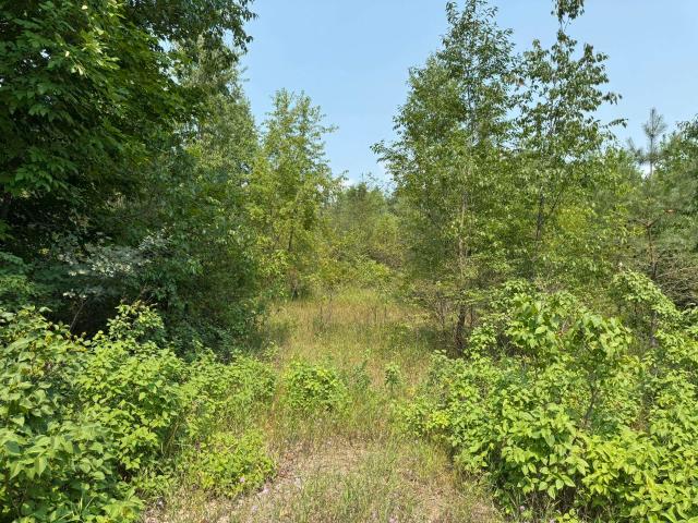 8558 Homestead Road