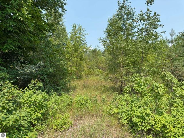 8558 Homestead Road