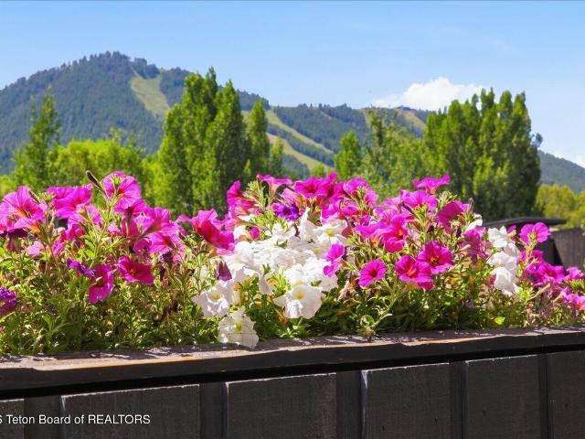 855 Wheatleigh Way, Jackson, WY 83001 | MLS #26 1962