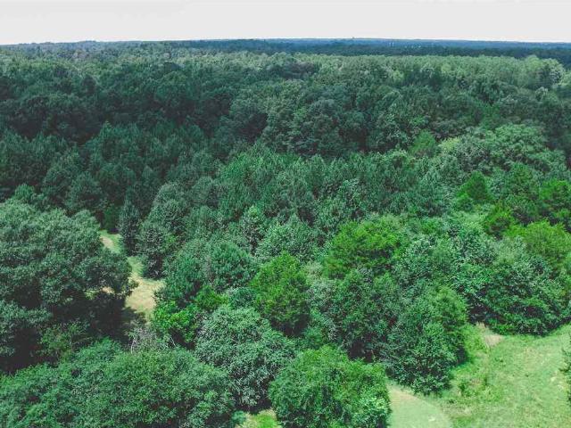 856 S Hampton Rd, Hampton, GA 30228 | MLS #10688