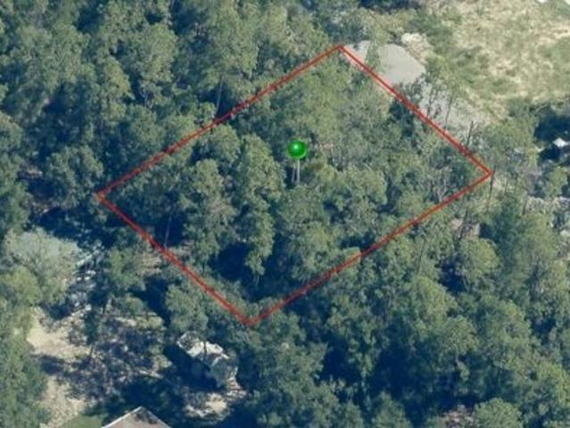 8578 N Spikes Way, Dunnellon, FL 34434