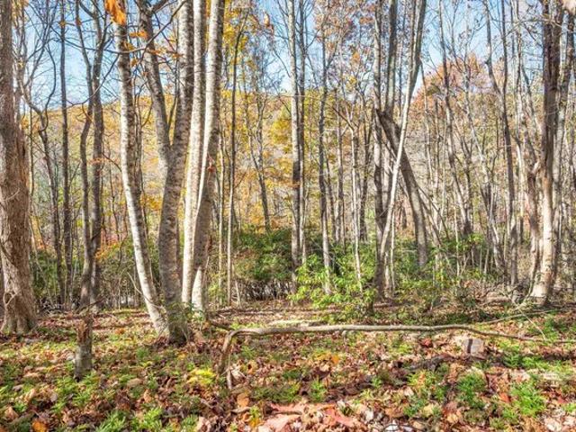 857 Phadettia Rd, Willis, VA 24380