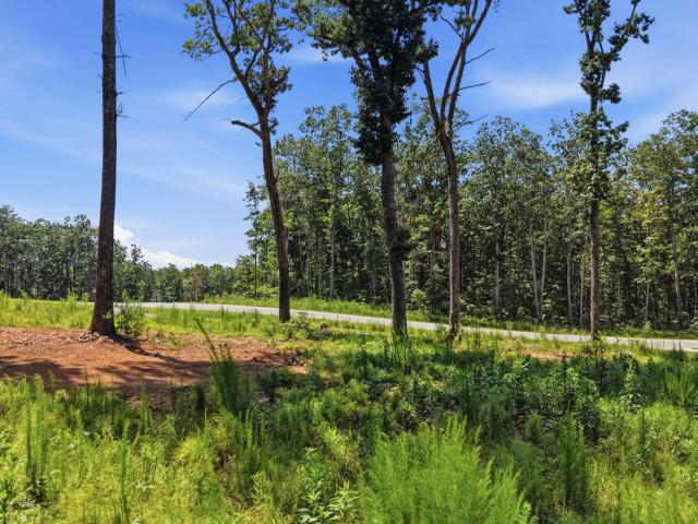 8581 Bear Paw Trail