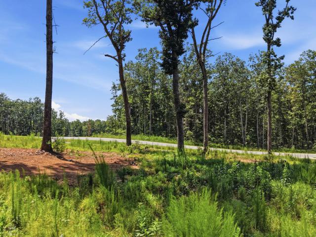 8581 Bear Paw Trail