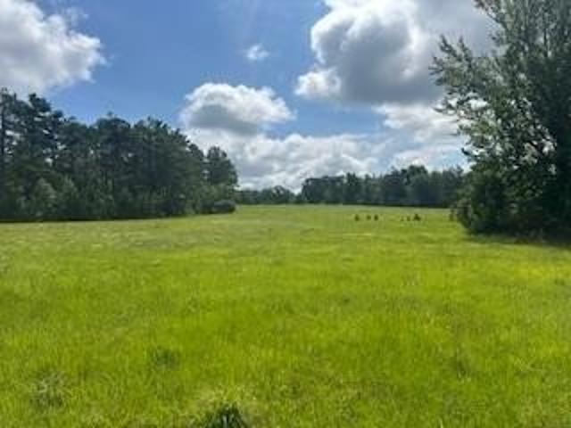 858 Highway 331, Paris, MS 38913